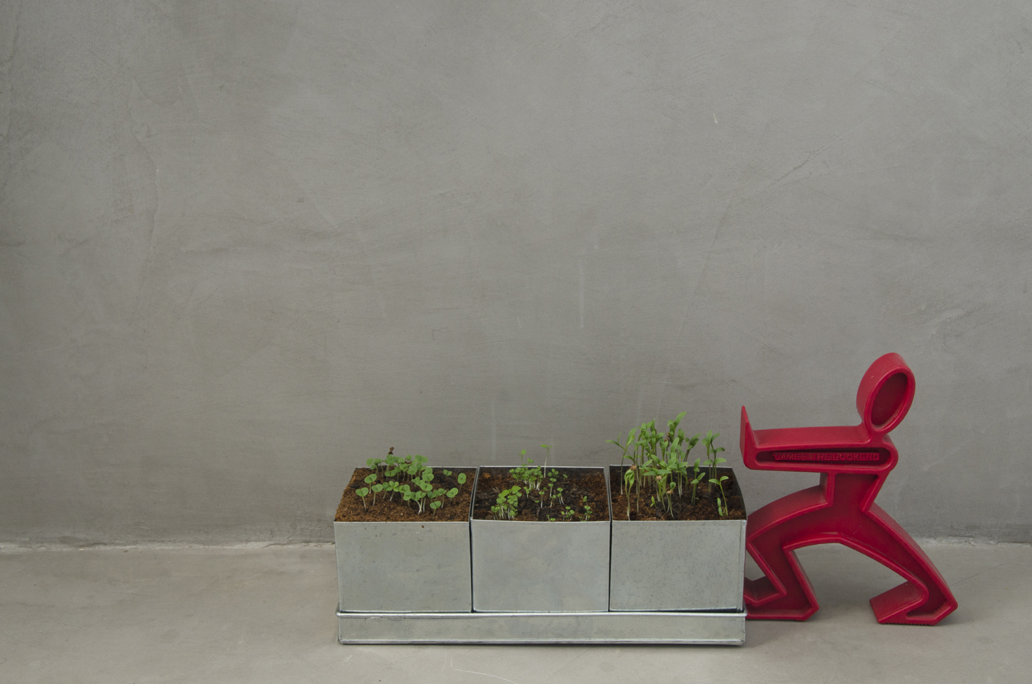 Vetrina - infopage.com